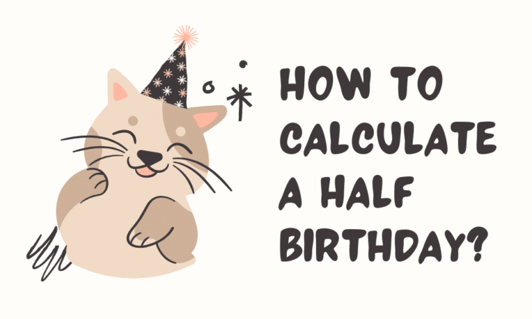 Half Birthday Calculator - Celebrate 6 Months in Style